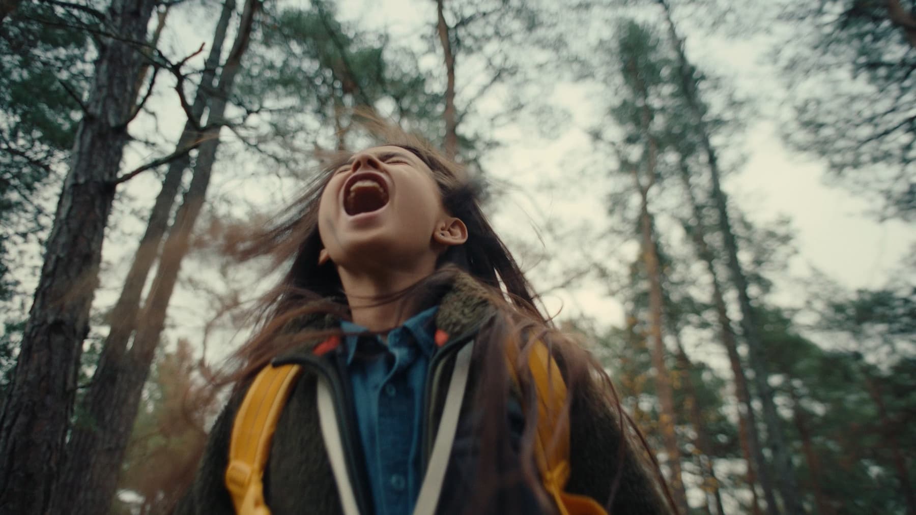 Bli scout - Scouterna